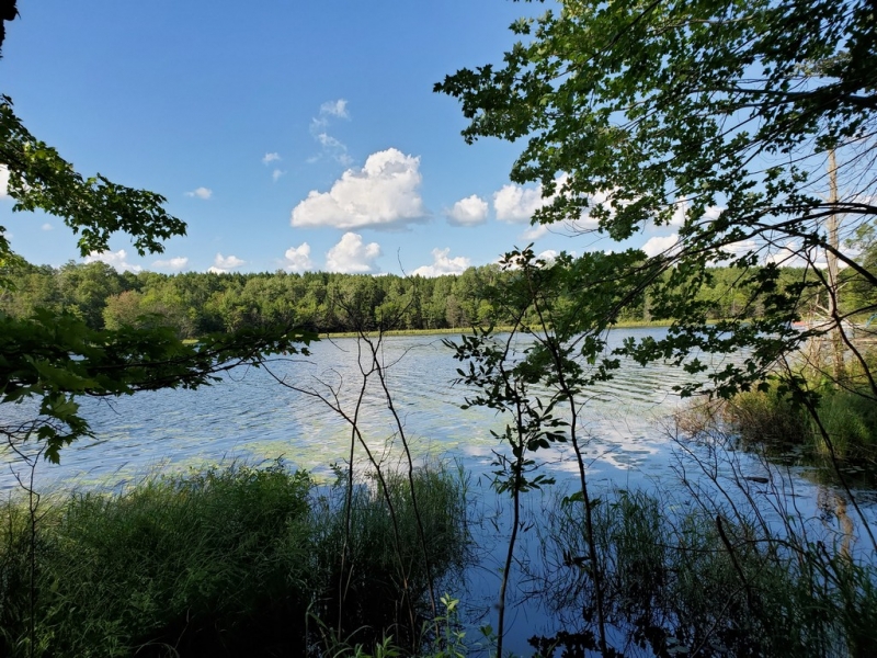 Sold Danbury, WI Lots & Land | Burnett Co | 1507586